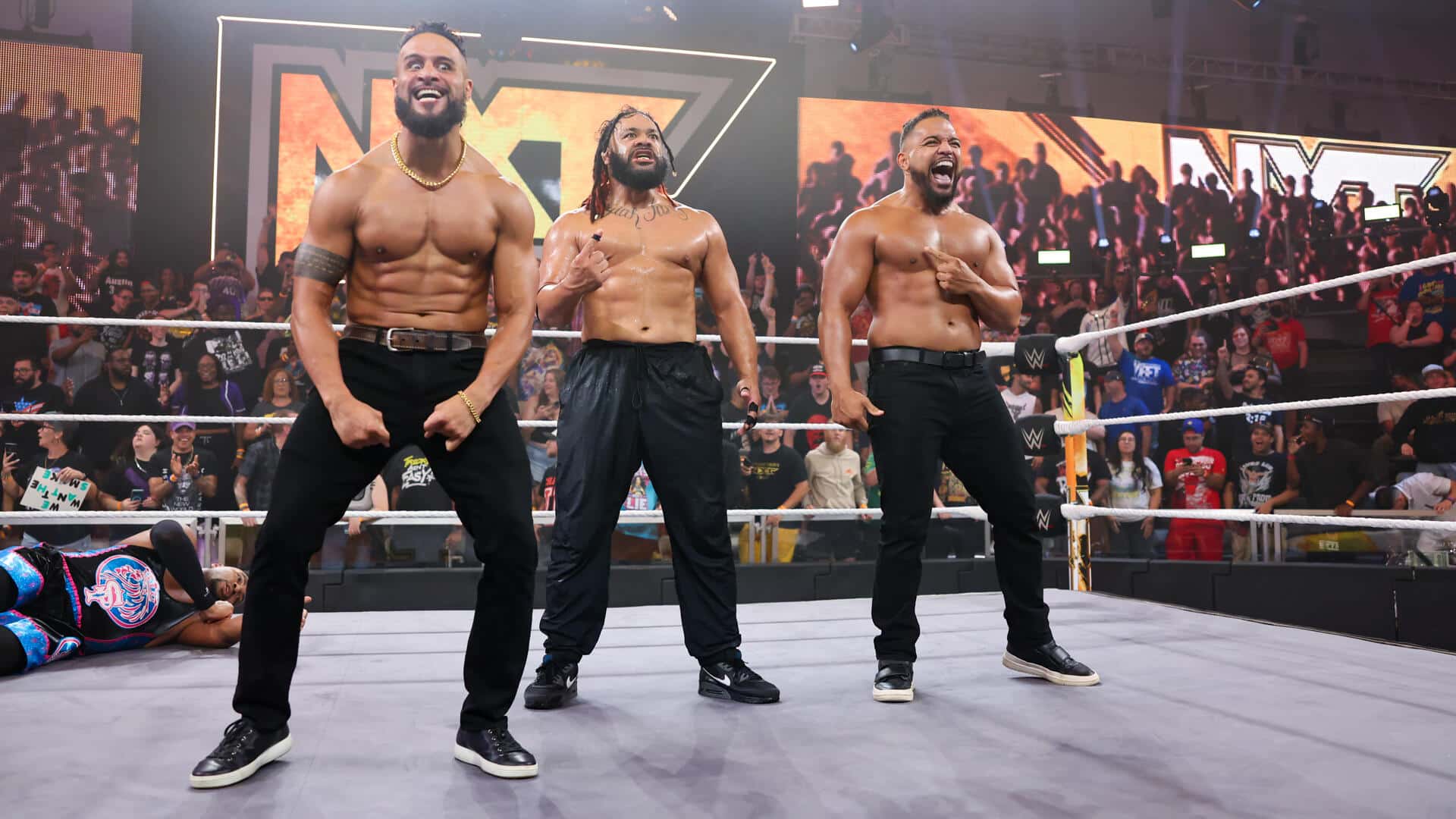 Backstage Note On The Bloodline’s WWE NXT TV Appearance – Good Morning ...